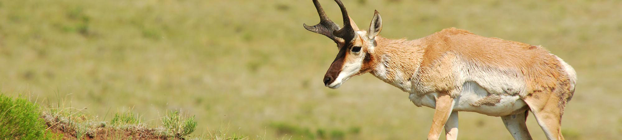 - Wildernessshots Photography