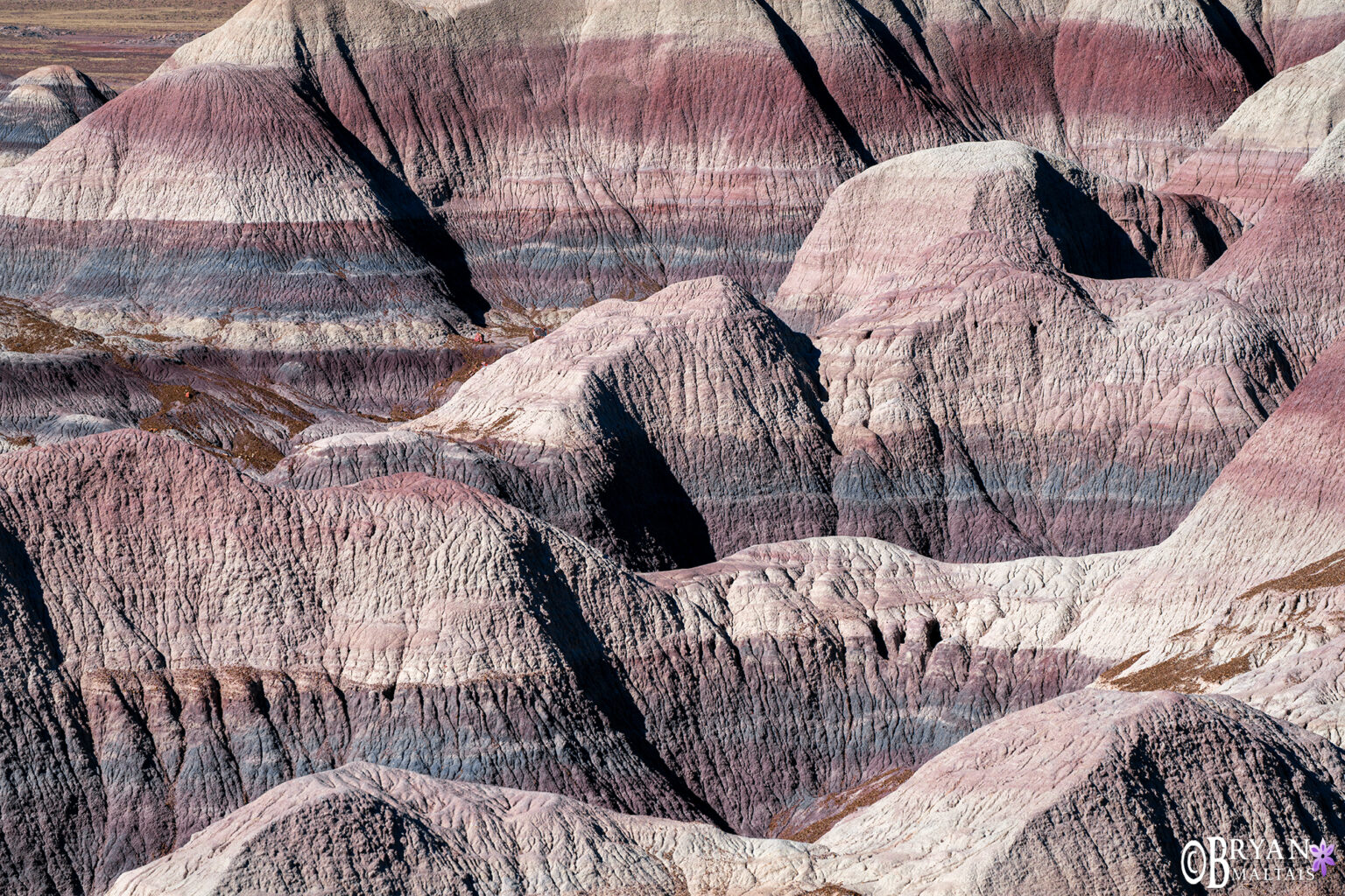 Painted Desert Badlands, Petrified Forest National Park ...