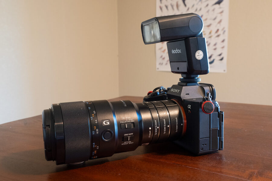 How to shoot Super Macro Photography: Mastering High Magnification ...