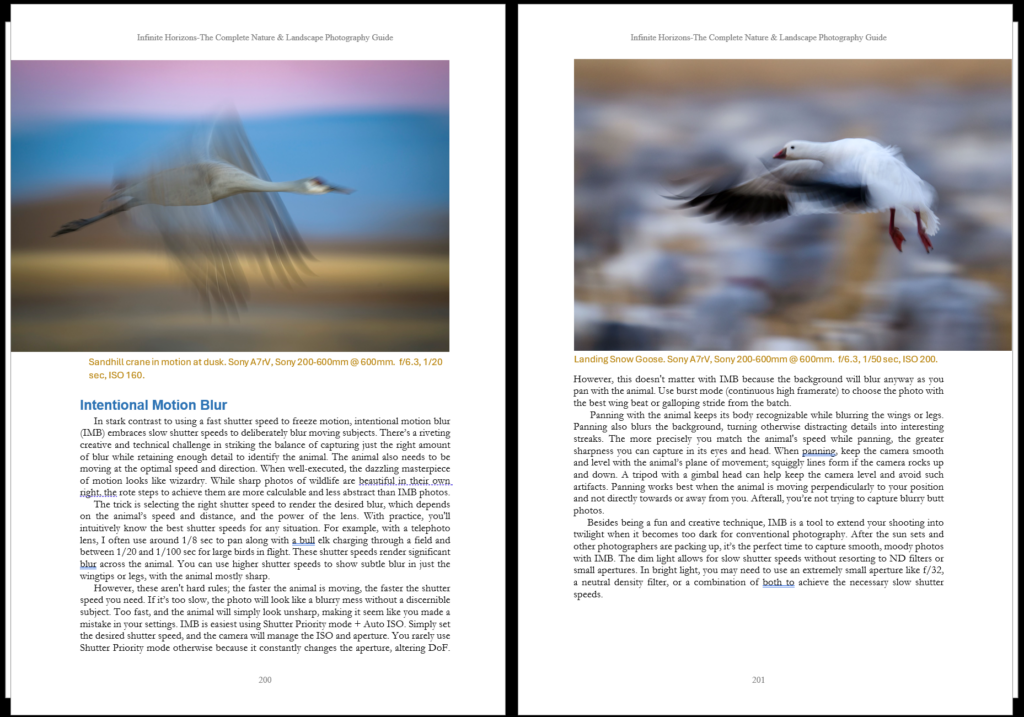 Infinite Horizons Nature & Landscape Photography Book